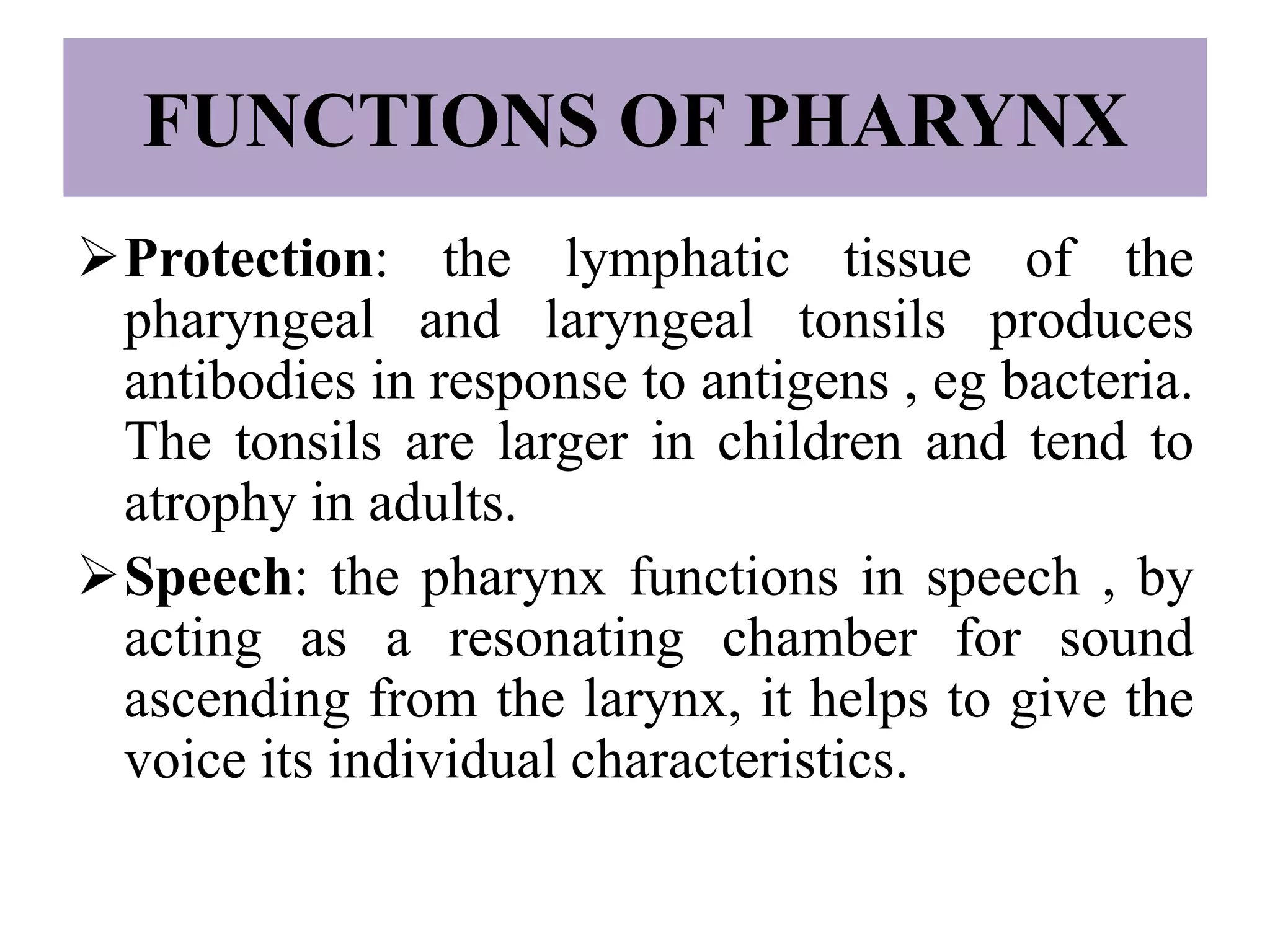 Pharynx ANATOMY AND PHYSIOLOGY | PPTX