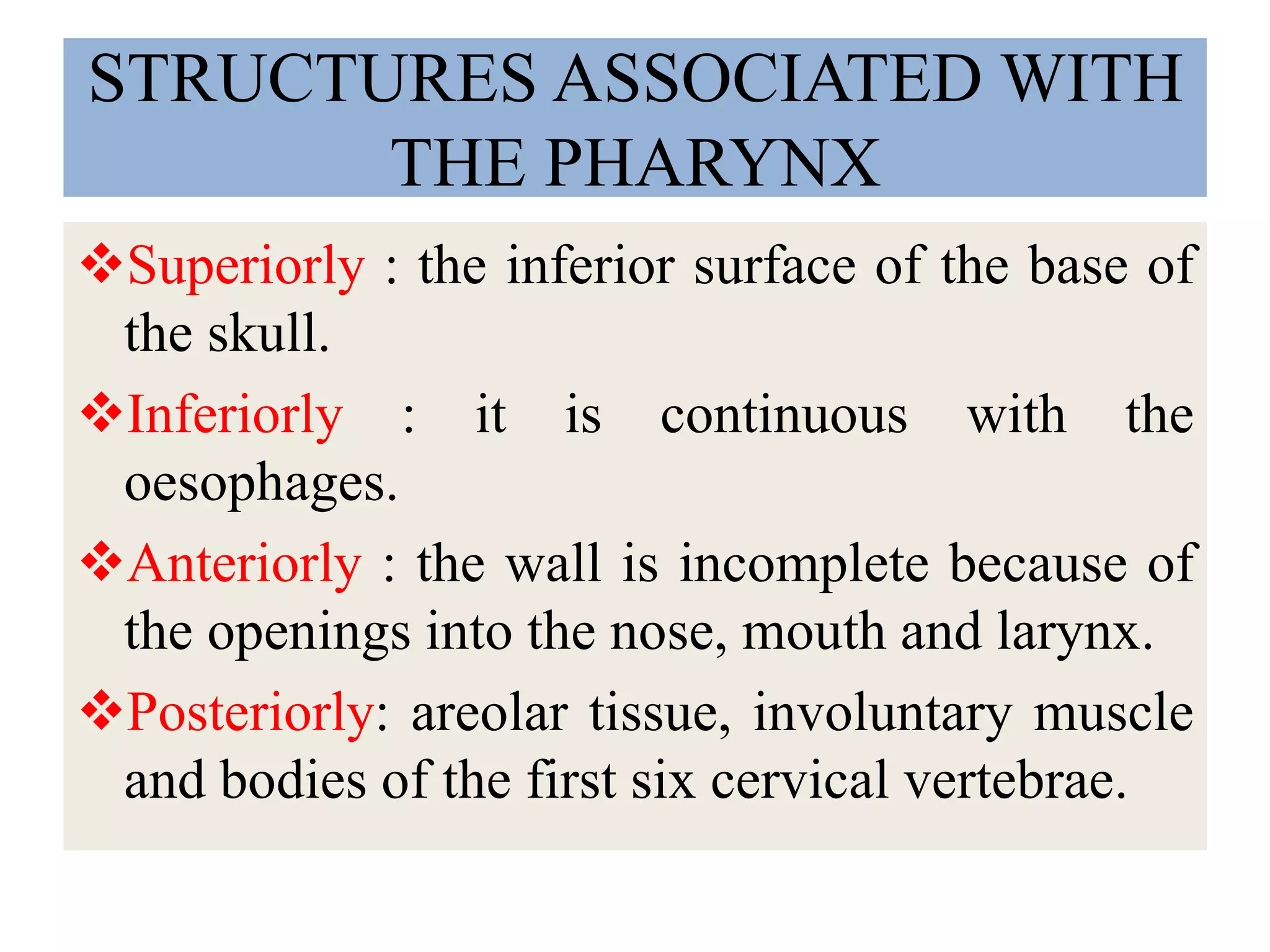 Pharynx ANATOMY AND PHYSIOLOGY | PPTX