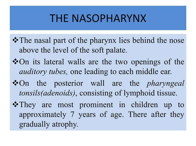 Pharynx ANATOMY AND PHYSIOLOGY | PPTX | Ear, Nose and Throat Conditions ...