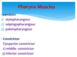 Pharynx | PPTX