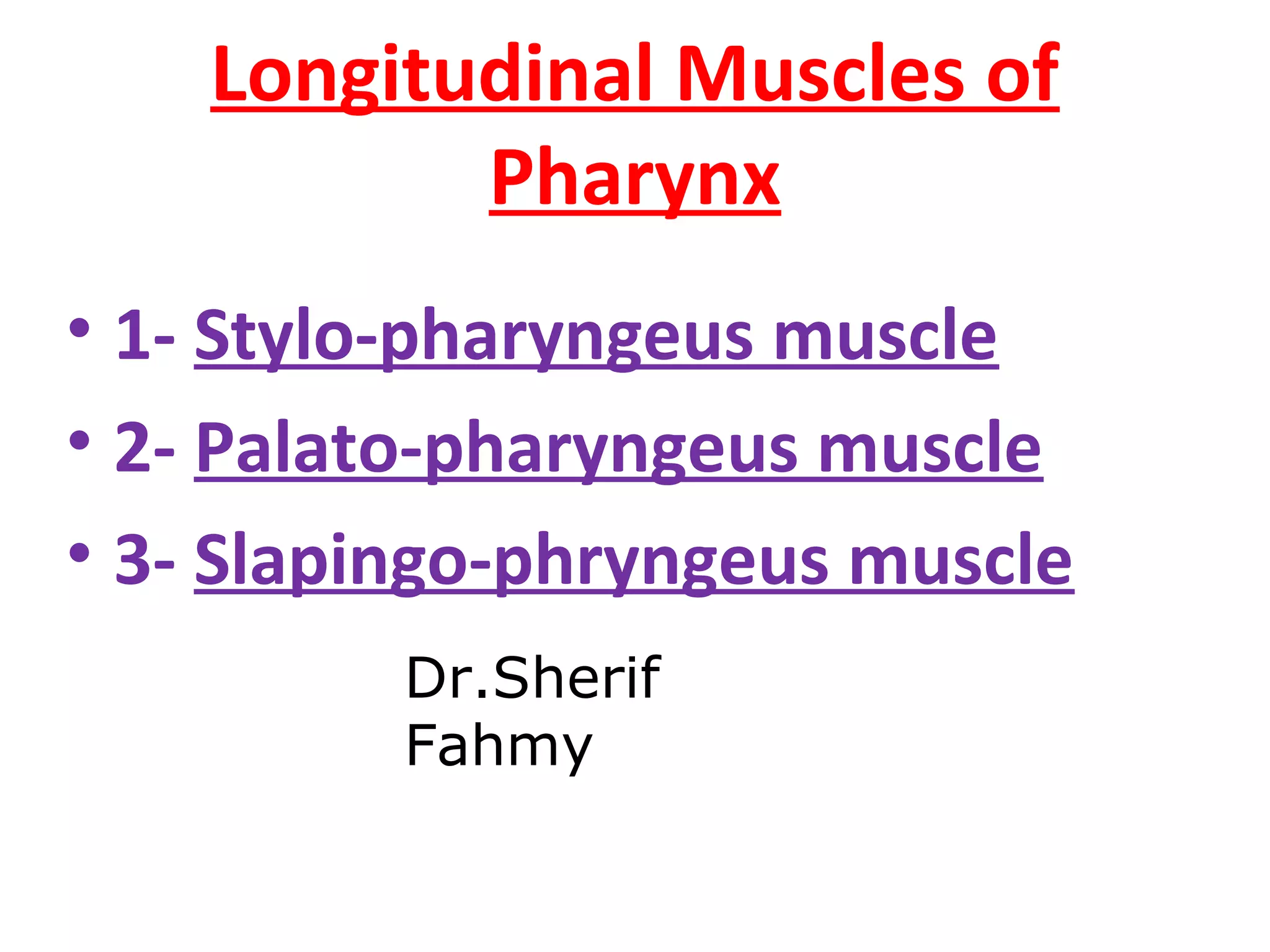 The Pharynx (Anatomy of the Neck) | PPS