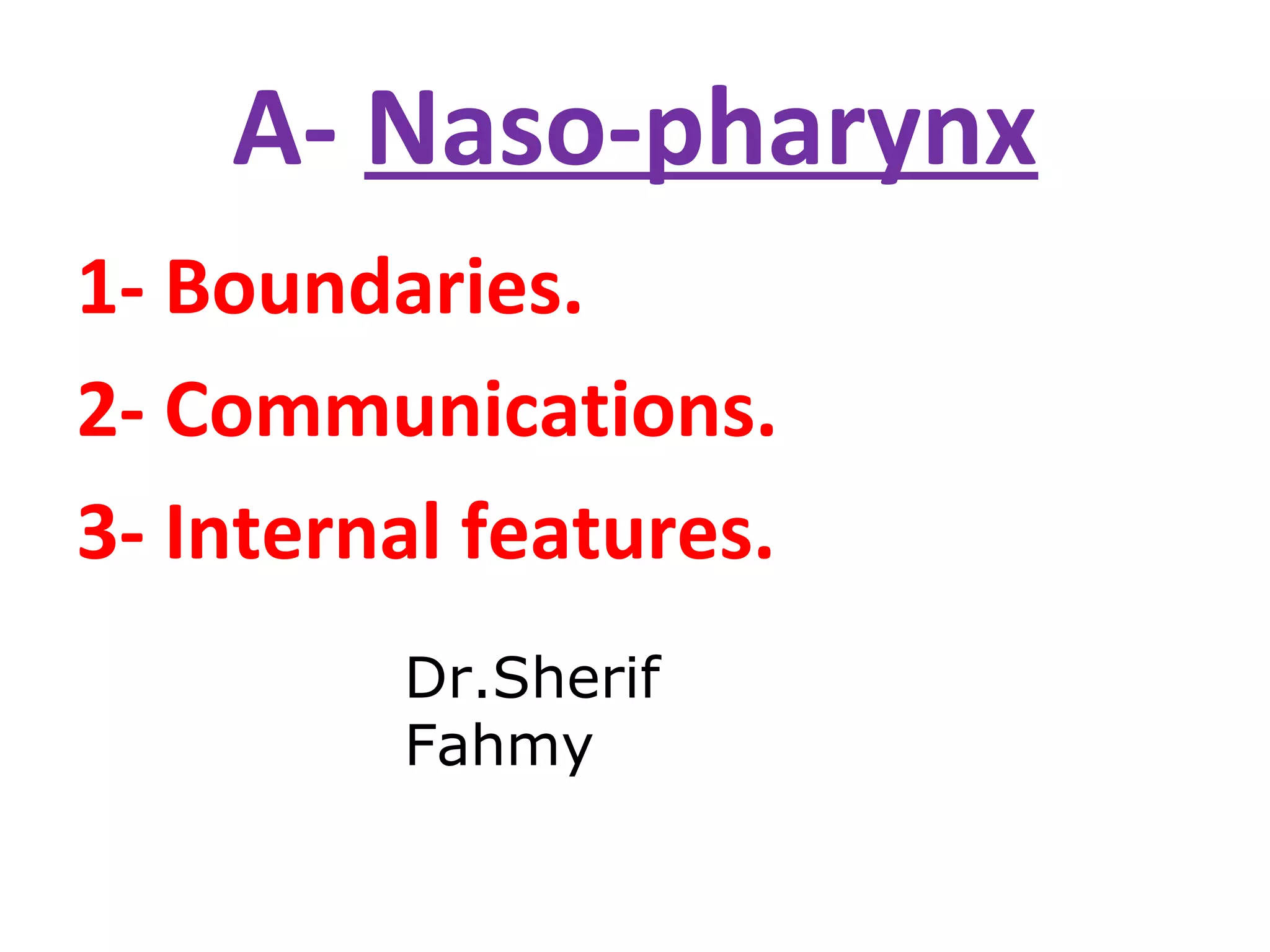 The Pharynx (Anatomy of the Neck) | PPS