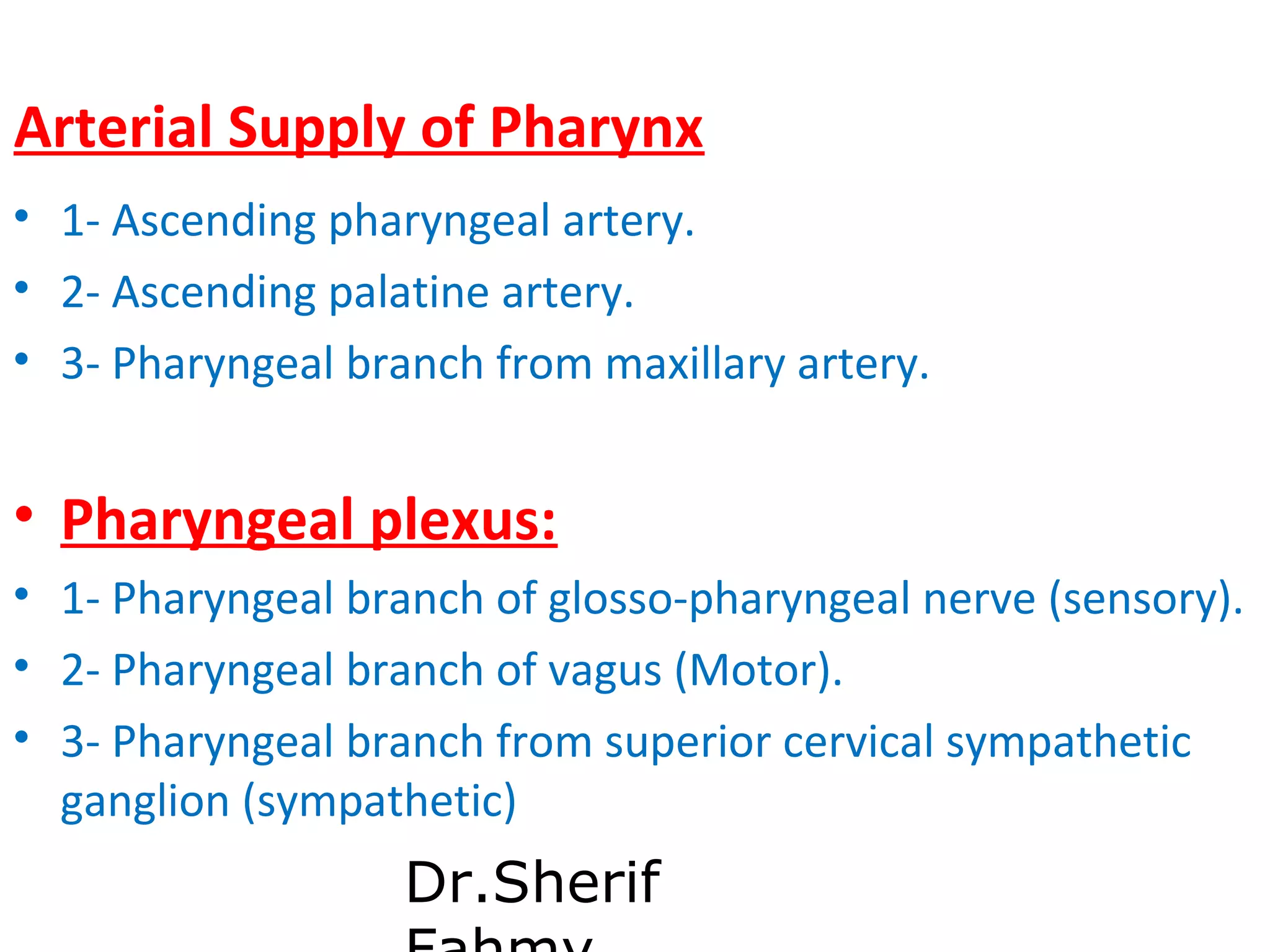The Pharynx (Anatomy of the Neck) | PPS