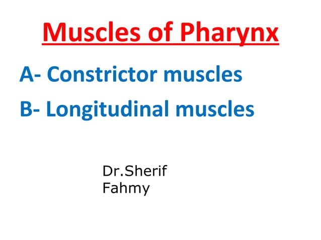 The Pharynx (Anatomy of the Neck) | PPS
