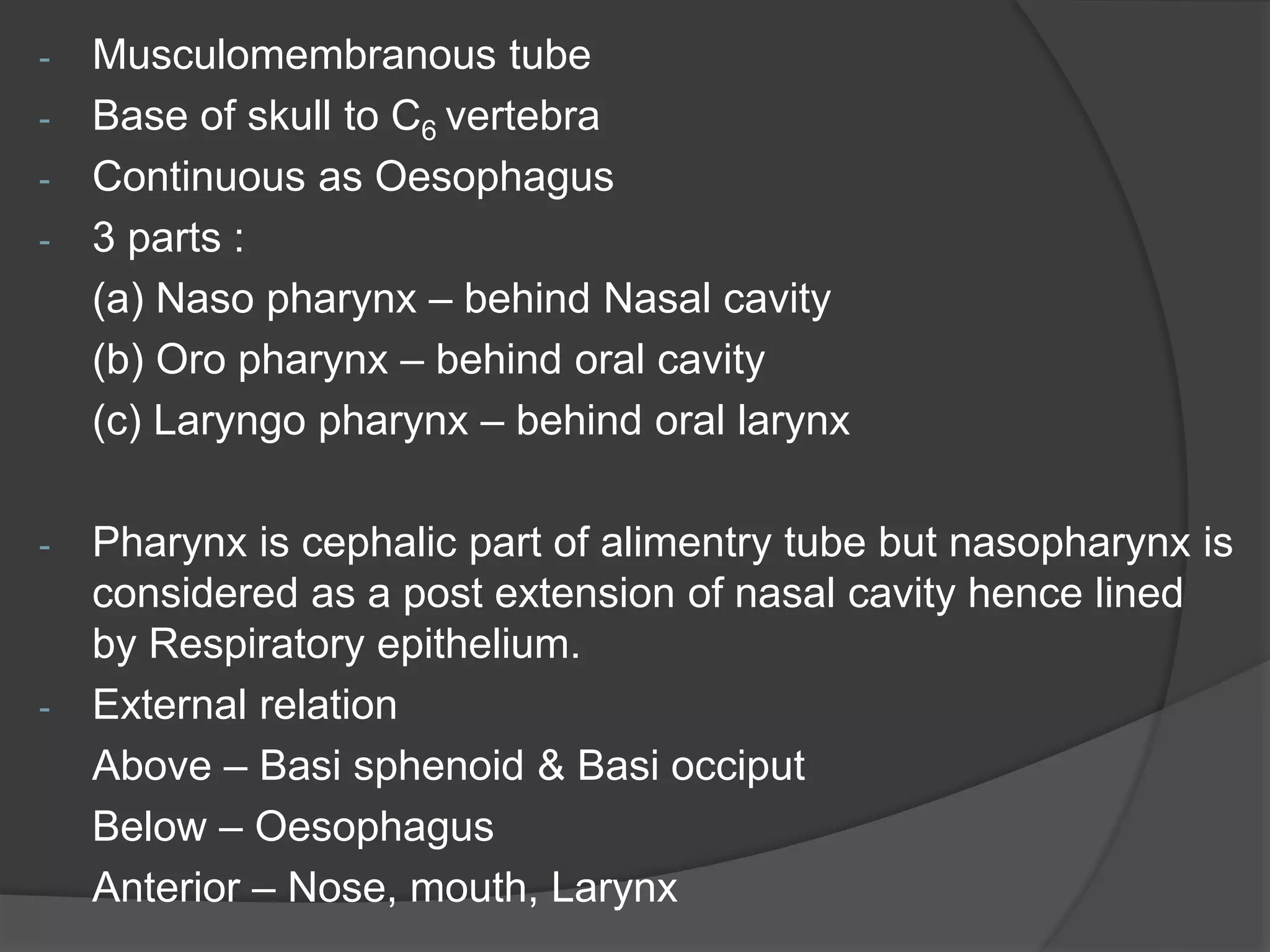 Pharynx anatomy | PPT