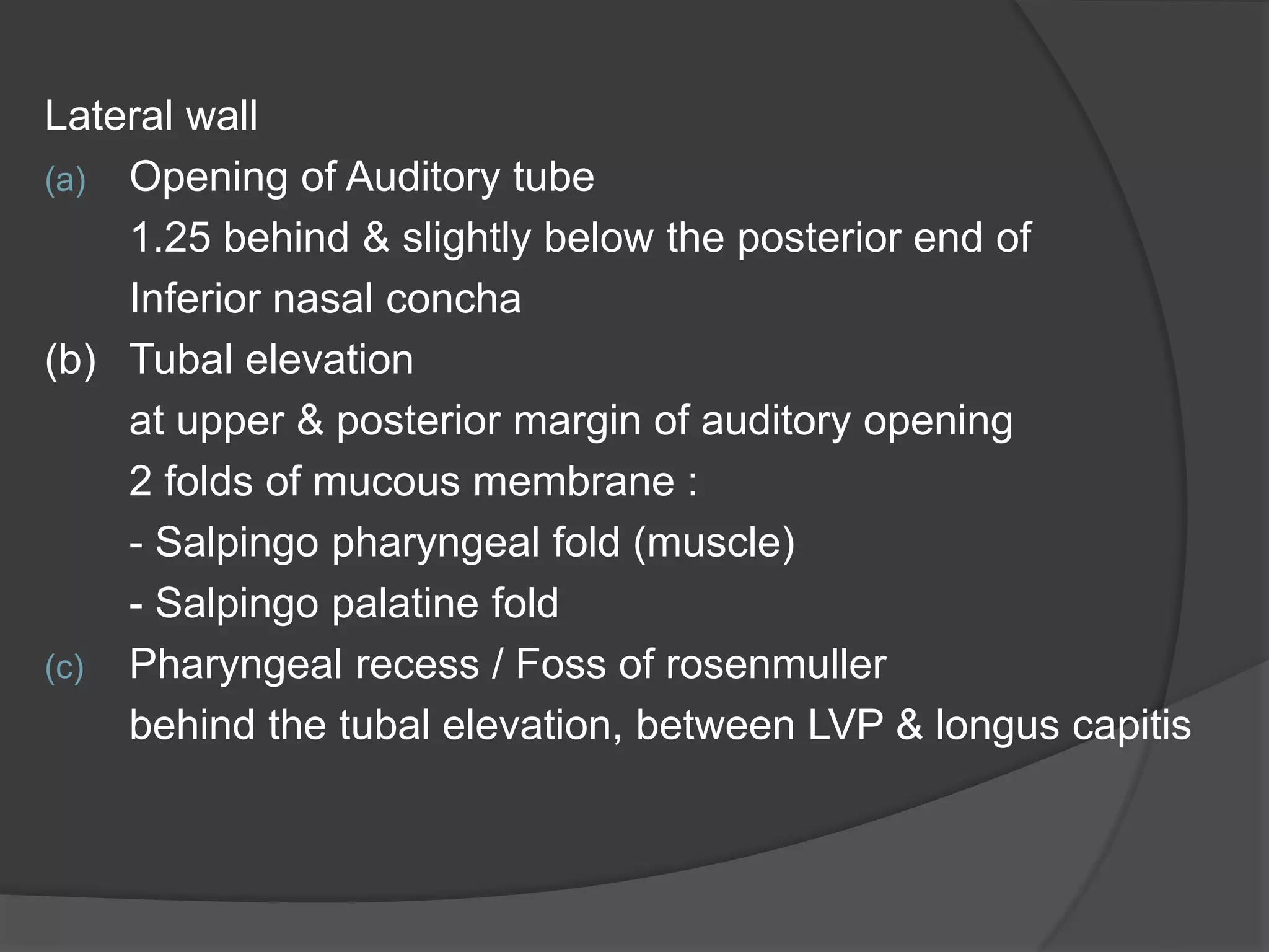 Pharynx anatomy | PPT