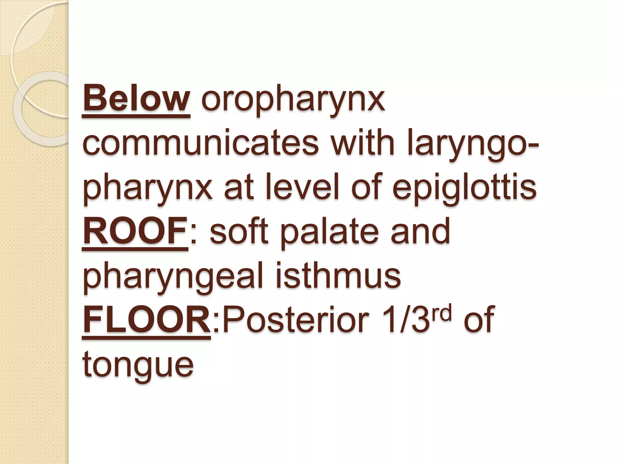 Pharynx | PPTX