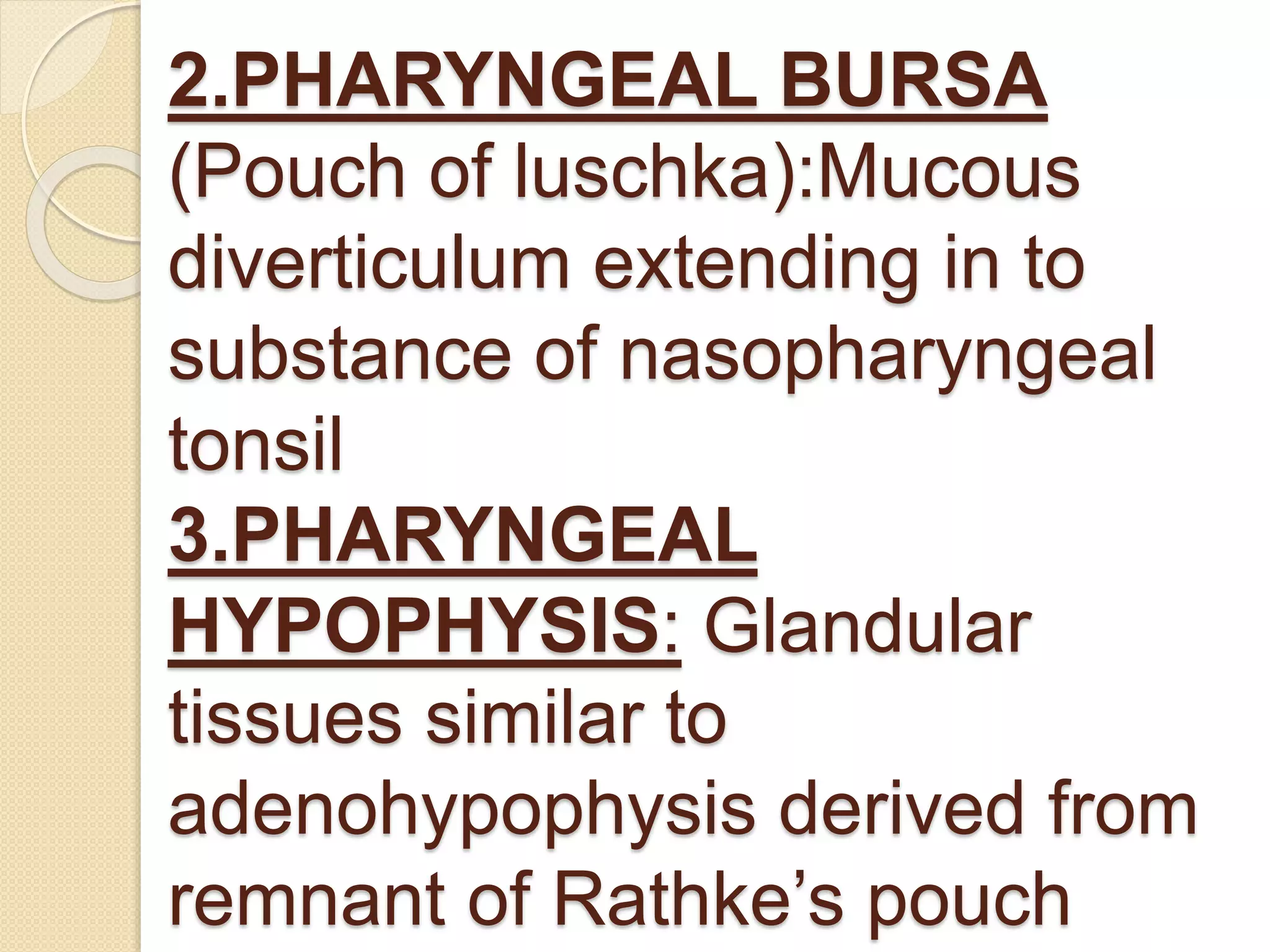Pharynx | PPTX