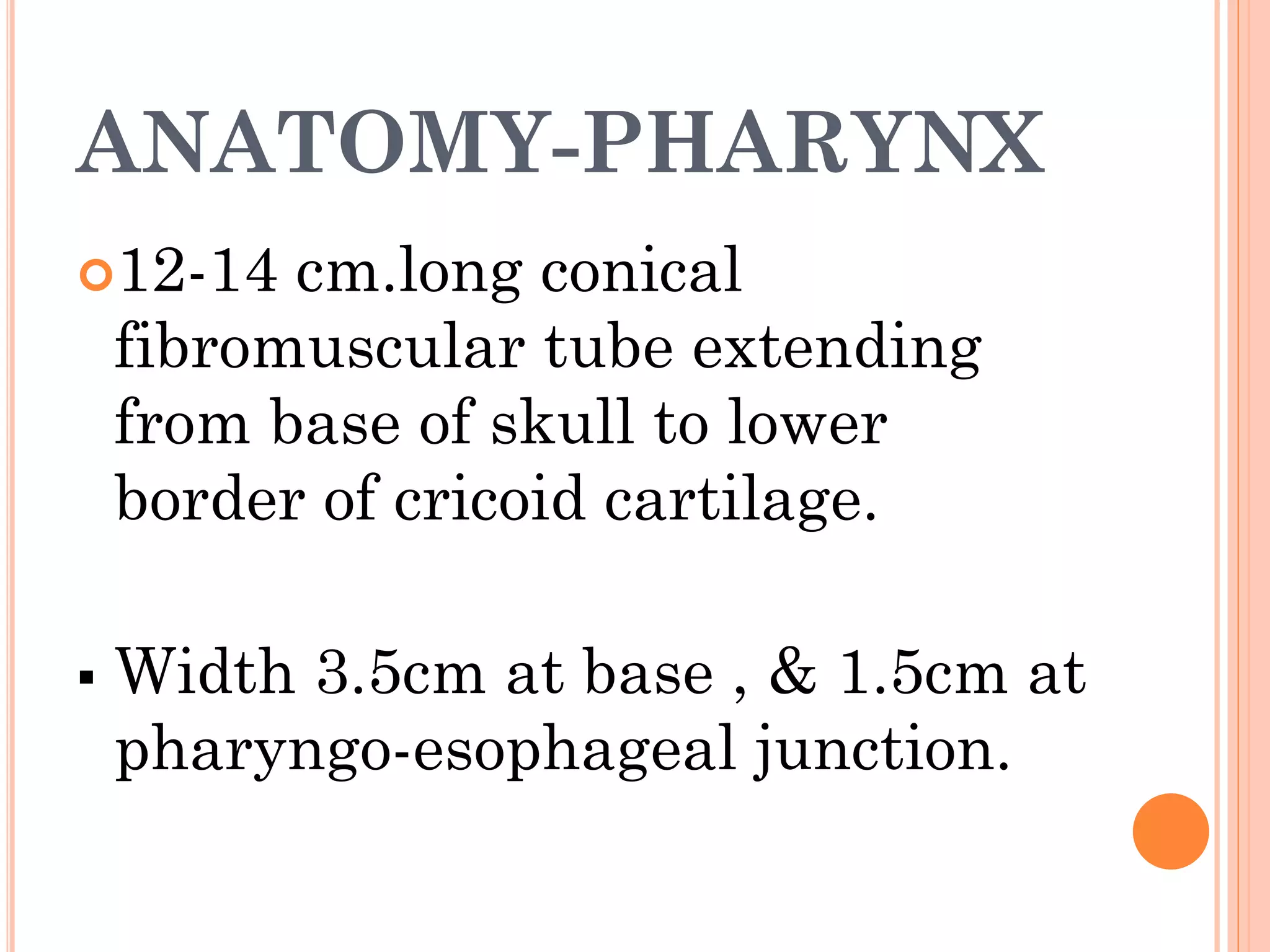 pharynx- anat & physio lect - aug 07.pdf