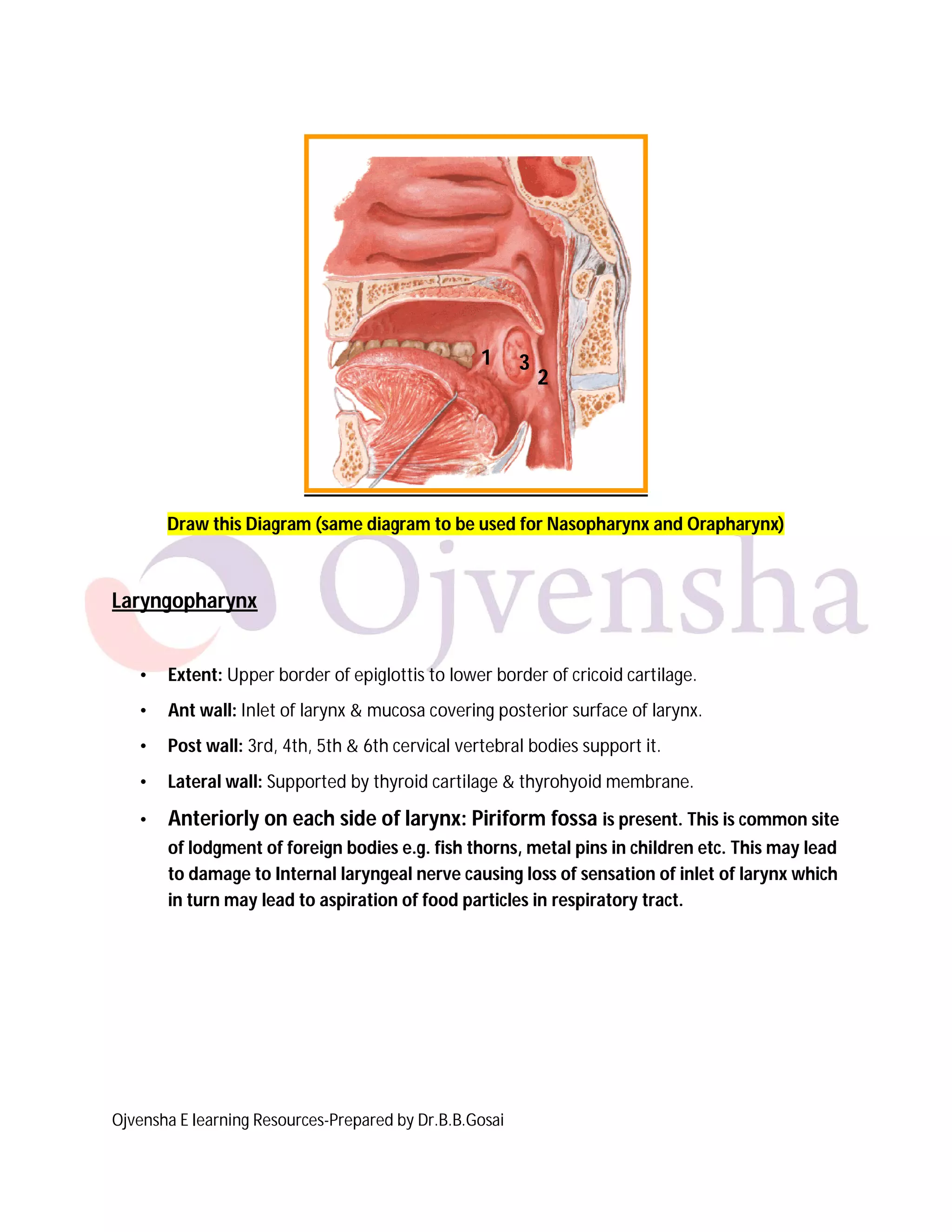Pharynx dr.gosai | PDF