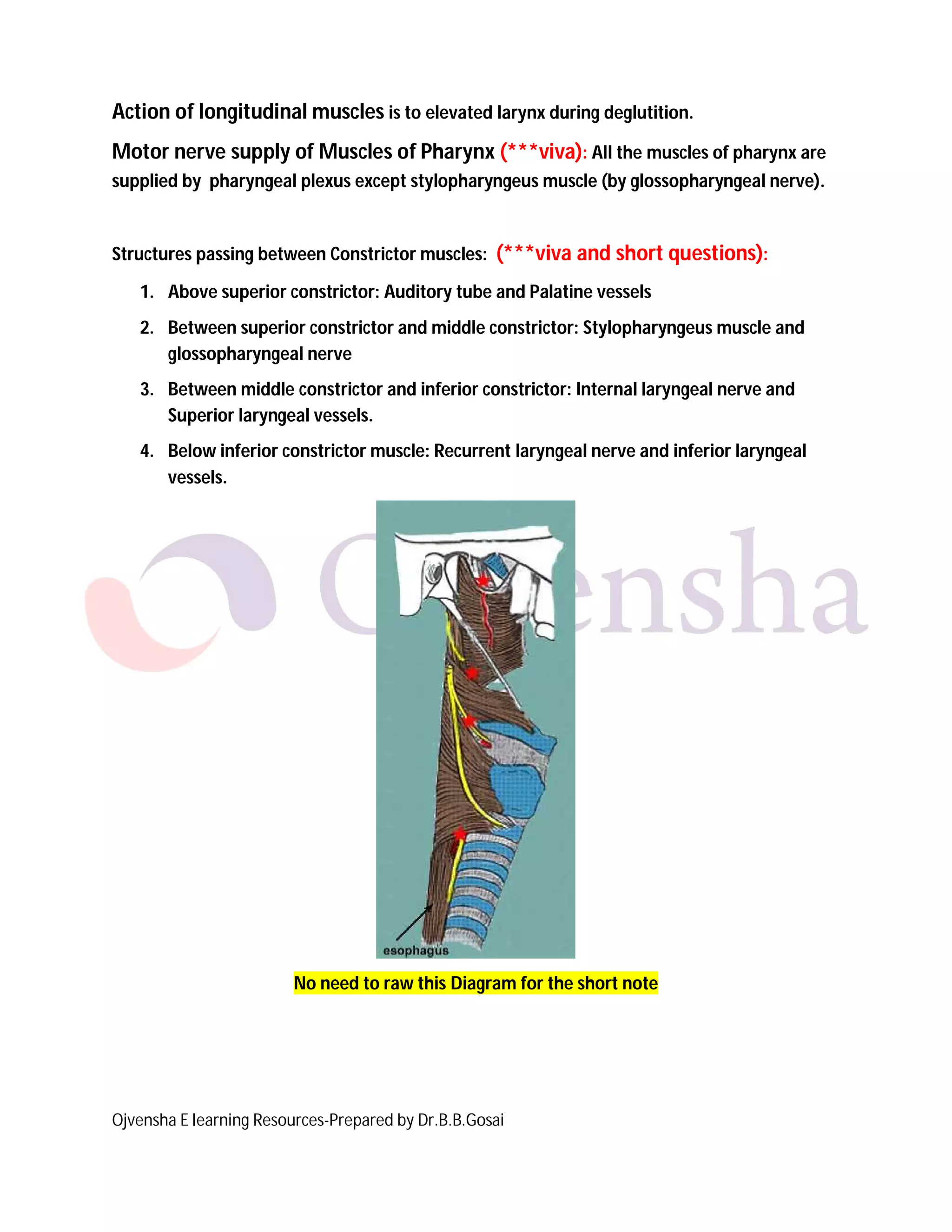 Pharynx dr.gosai | PDF