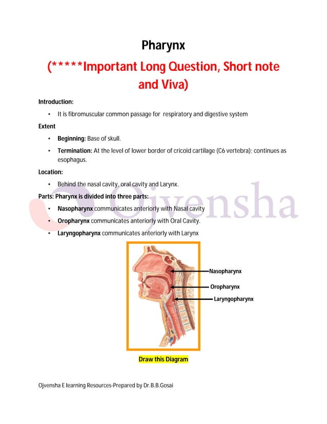 Pharynx dr.gosai | PDF | Ear, Nose and Throat Conditions | Diseases and Conditions