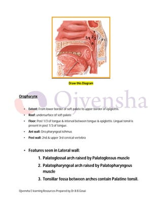 Pharynx dr.gosai | PDF