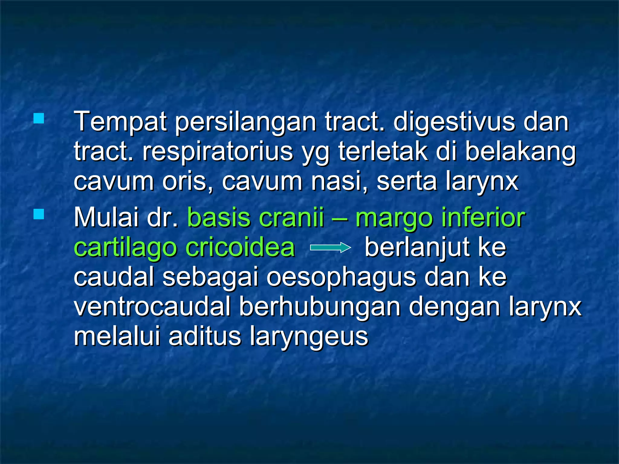 Pharynx larynx SEMESTER 2 kd 2 anatomy | PPT