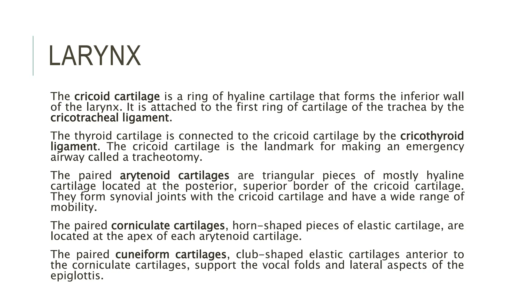 Pharynx-RS.pptx....,........................ | PPTX