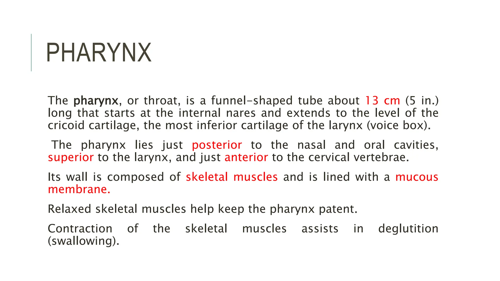 Pharynx-RS.pptx....,........................ | PPTX
