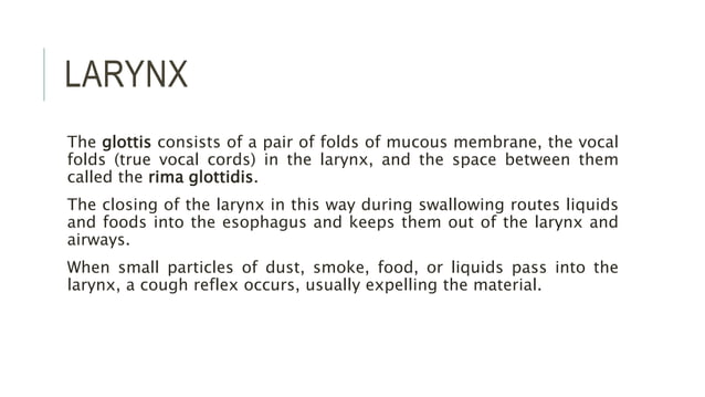 Pharynx-RS.pptx....,........................ | PPT