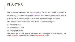Pharynx-RS.pptx....,........................ | PPTX | Thyroid Disorders ...