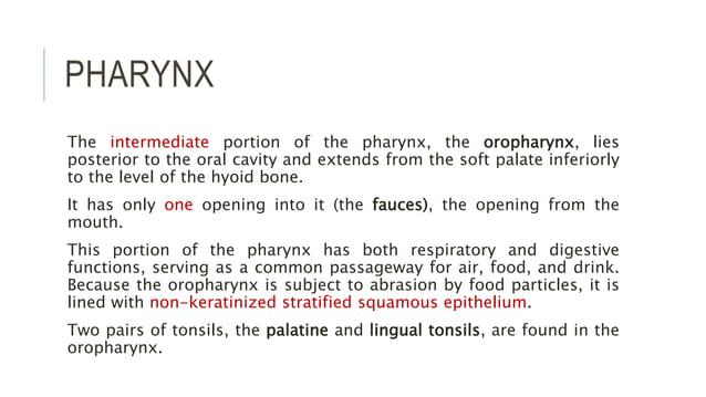 Pharynx-RS.pptx....,........................ | PPT