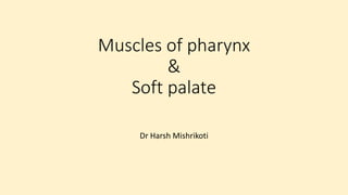 Pharynx and softpalate | PPT