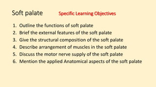 Pharynx and softpalate | PPTX