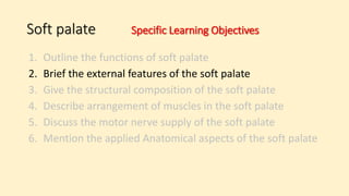 Pharynx and softpalate | PPTX