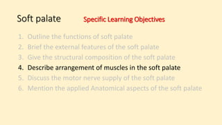 Pharynx and softpalate | PPT