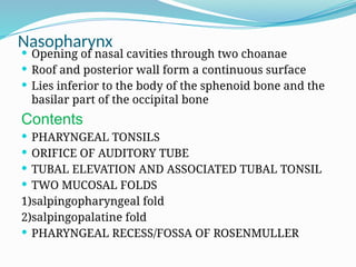 Pharynx seminar anatomy mbbs first year anatomy | PPTX