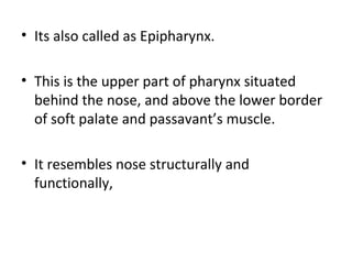 Edwards anatomy of Pharynx | PPT
