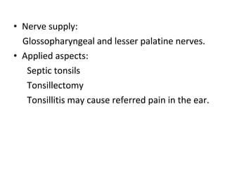 Edwards anatomy of Pharynx | PPT