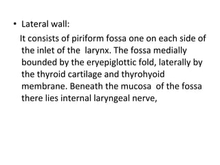 Edwards anatomy of Pharynx | PPT