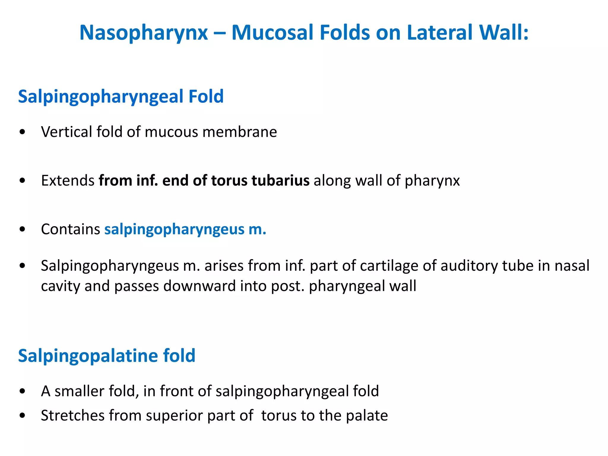 Pharynx Dr. Aylin Aktar.pdf