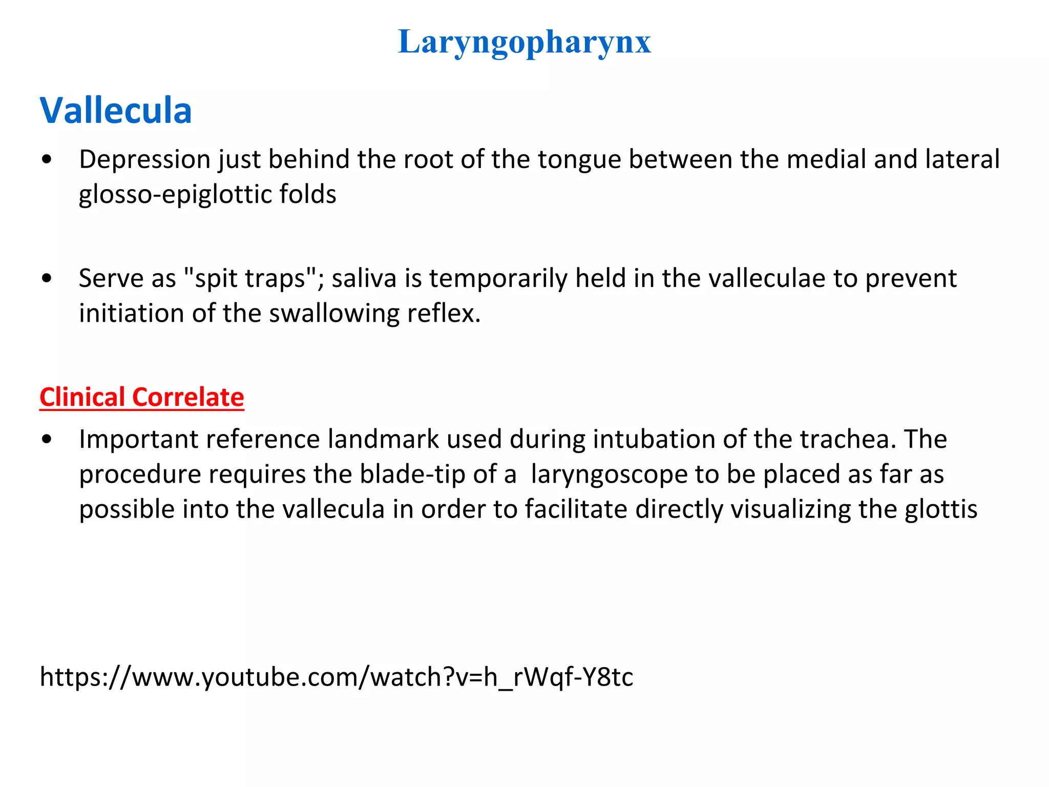 Pharynx Dr. Aylin Aktar.pdf