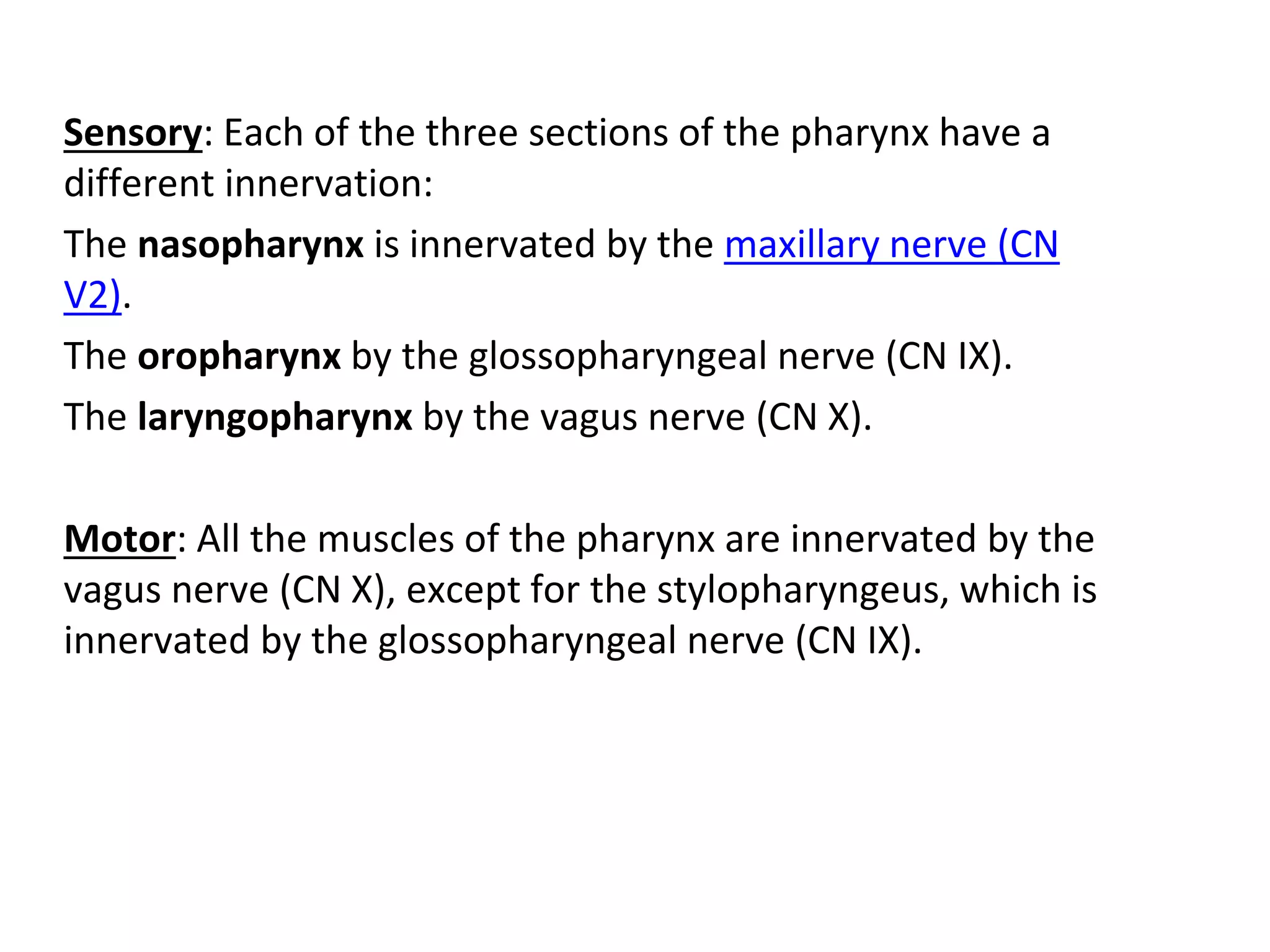 Anatomy of Pharynx & Larynx | PPTX