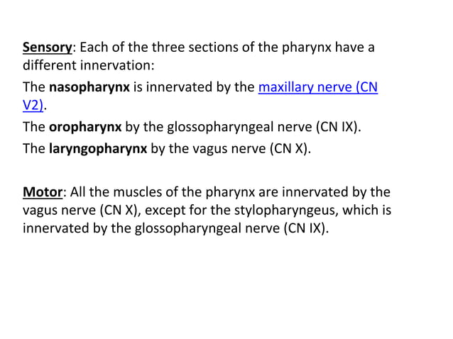Anatomy of Pharynx & Larynx | PPTX | Ear, Nose and Throat Conditions ...