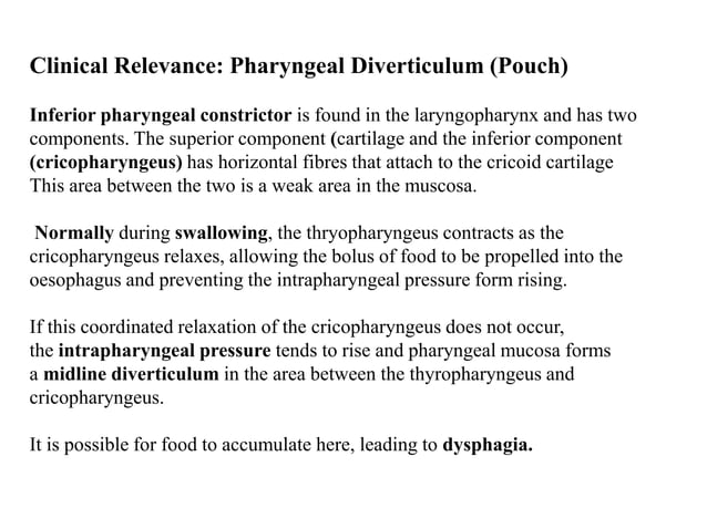 Anatomy of Pharynx & Larynx | PPTX | Ear, Nose and Throat Conditions ...
