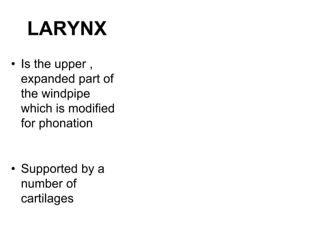 Anatomy of Pharynx & Larynx | PPTX | Ear, Nose and Throat Conditions ...