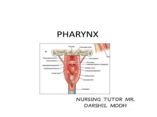 PHARYNX PPT BY MR. DARSHIL MODH.docx