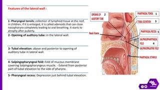 lecture of Pharynx ( Nasopharynx ) faculty f medicine.pdf