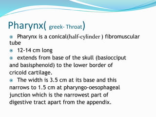 Pharynx Anatomy and physiology | PPTX