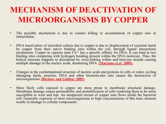 Exploring the Mechanism of Water Disinfection using Antimicrobial ...