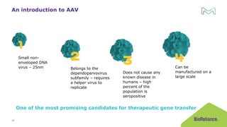 Webinar: Is Phase-Appropriate Validation the Right Choice for your Cell ...