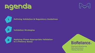 Webinar: Is Phase-Appropriate Validation the Right Choice for your Cell ...