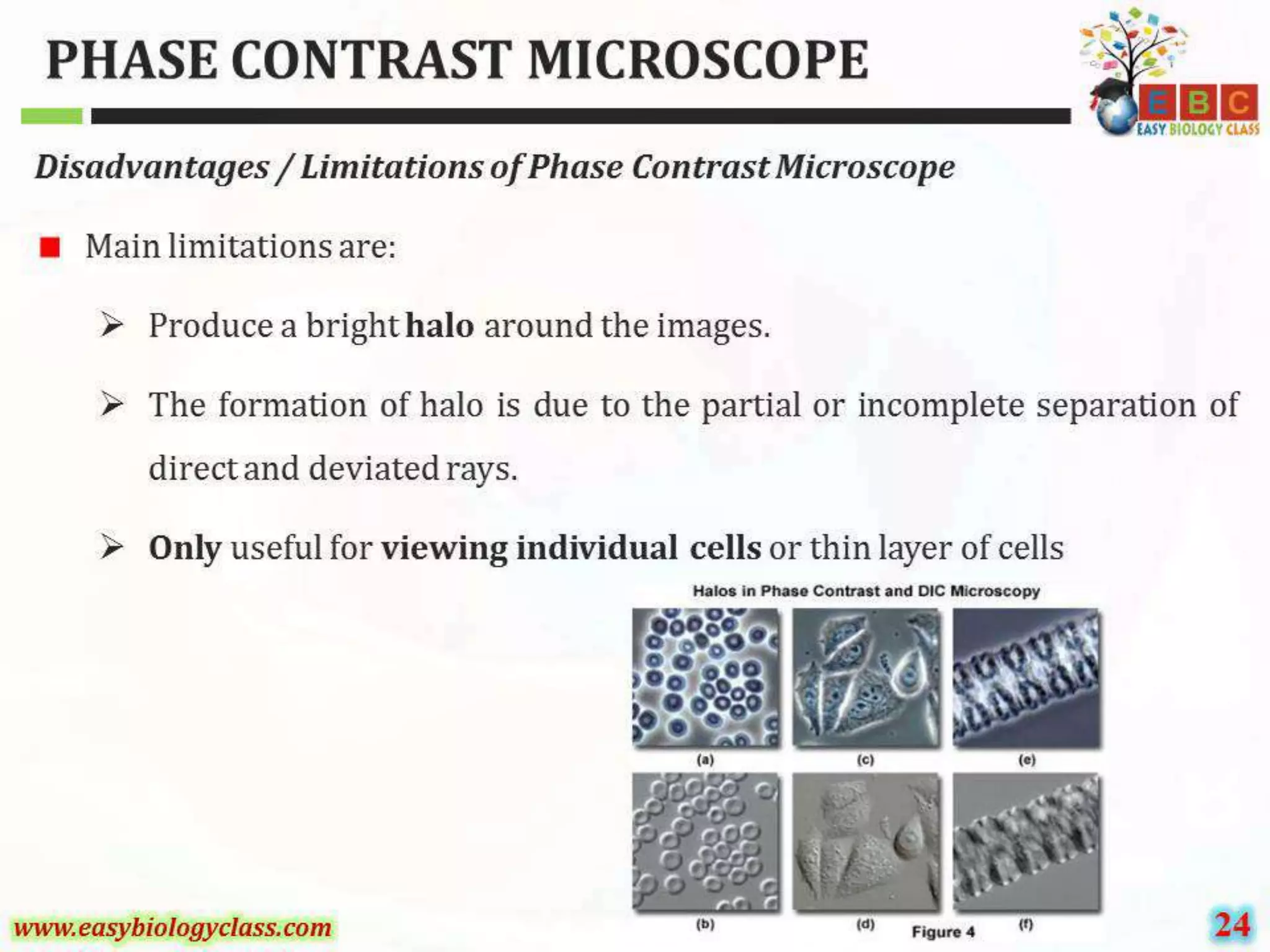 Phase-Contrast-Microscopy.pptx