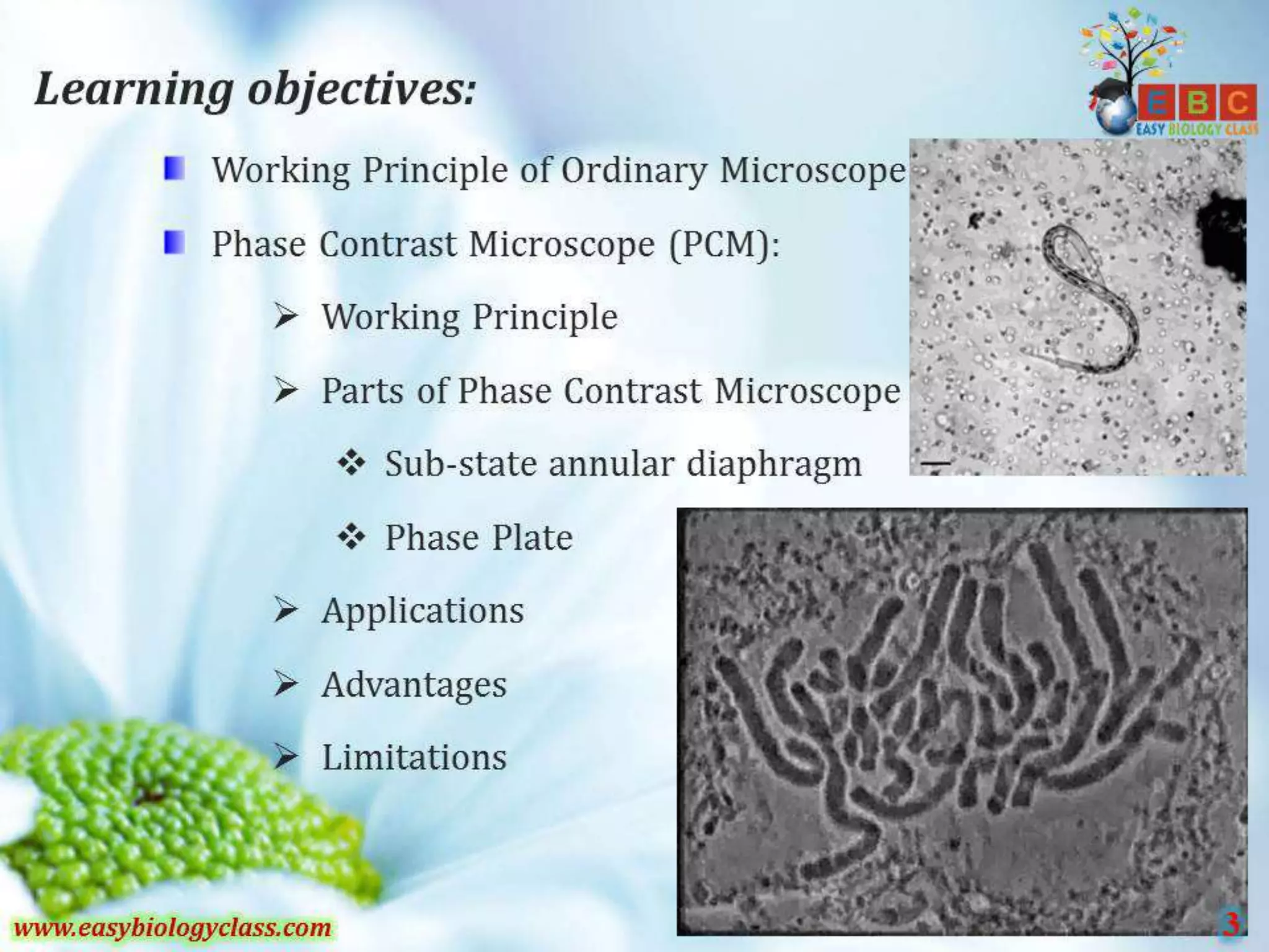 Phase-Contrast-Microscopy.pptx