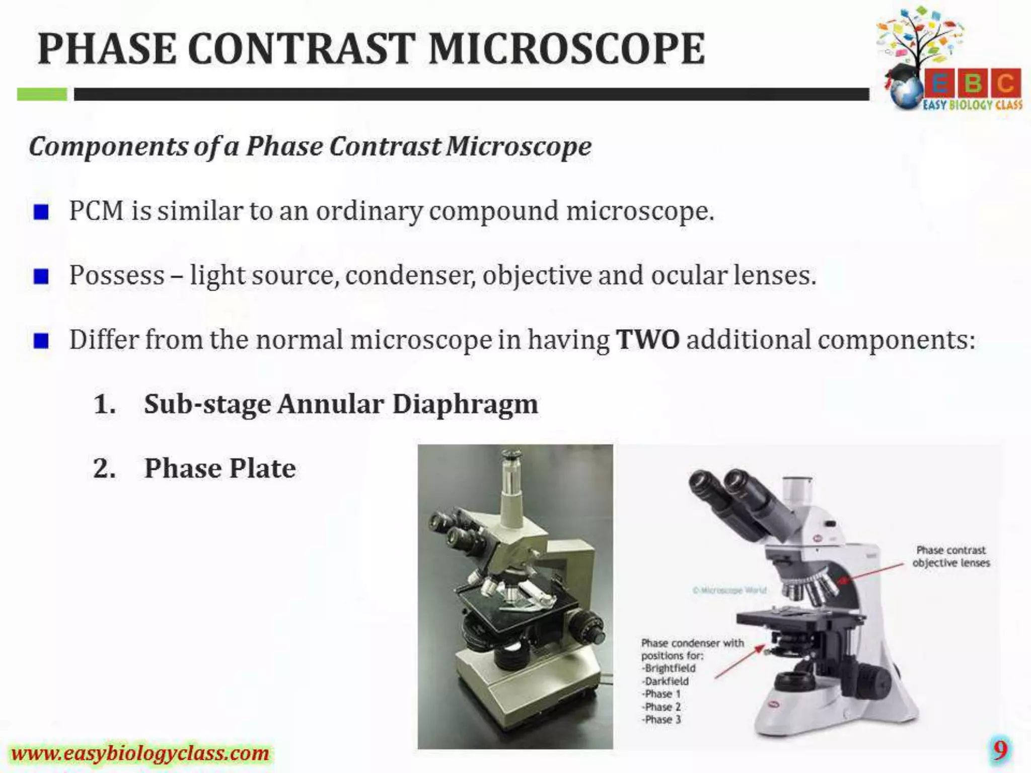Phase-Contrast-Microscopy.pptx
