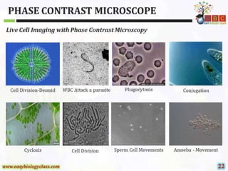 Phase-Contrast-Microscopy.pptx