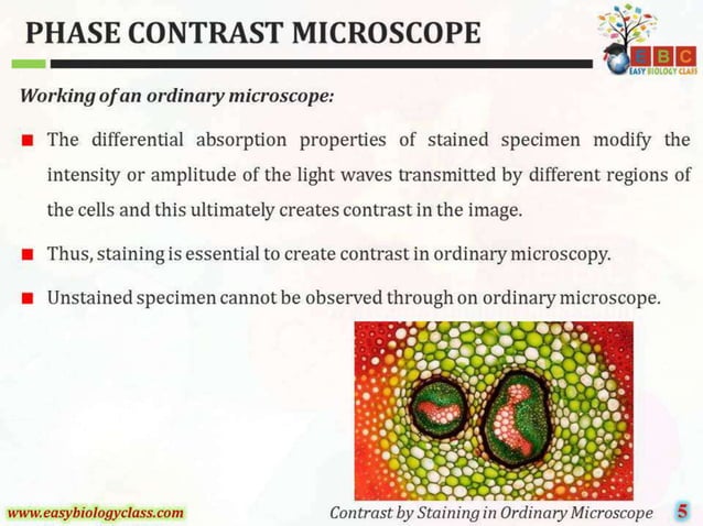 Phase-Contrast-Microscopy.pptx