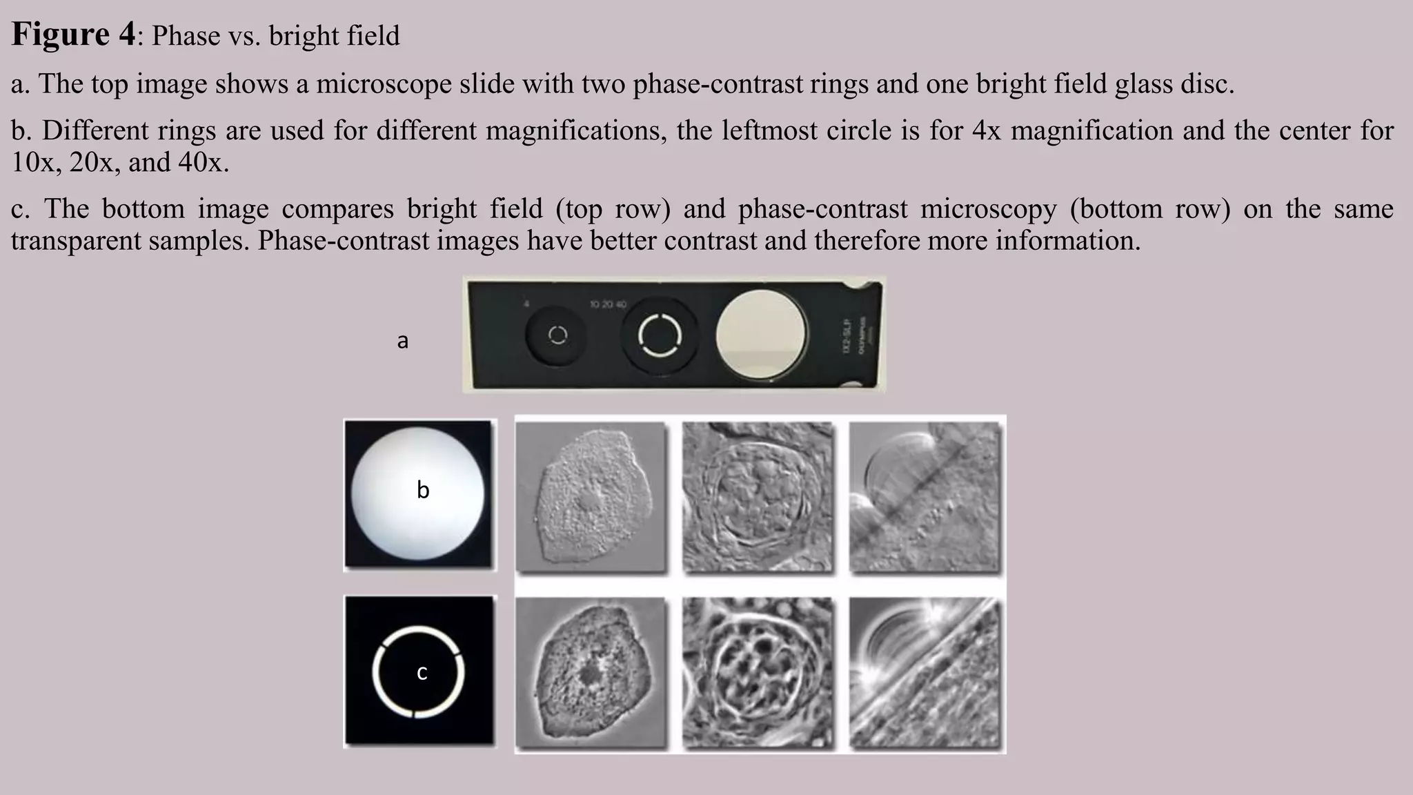 Phase contrast microscopy Likhith K | PPTX