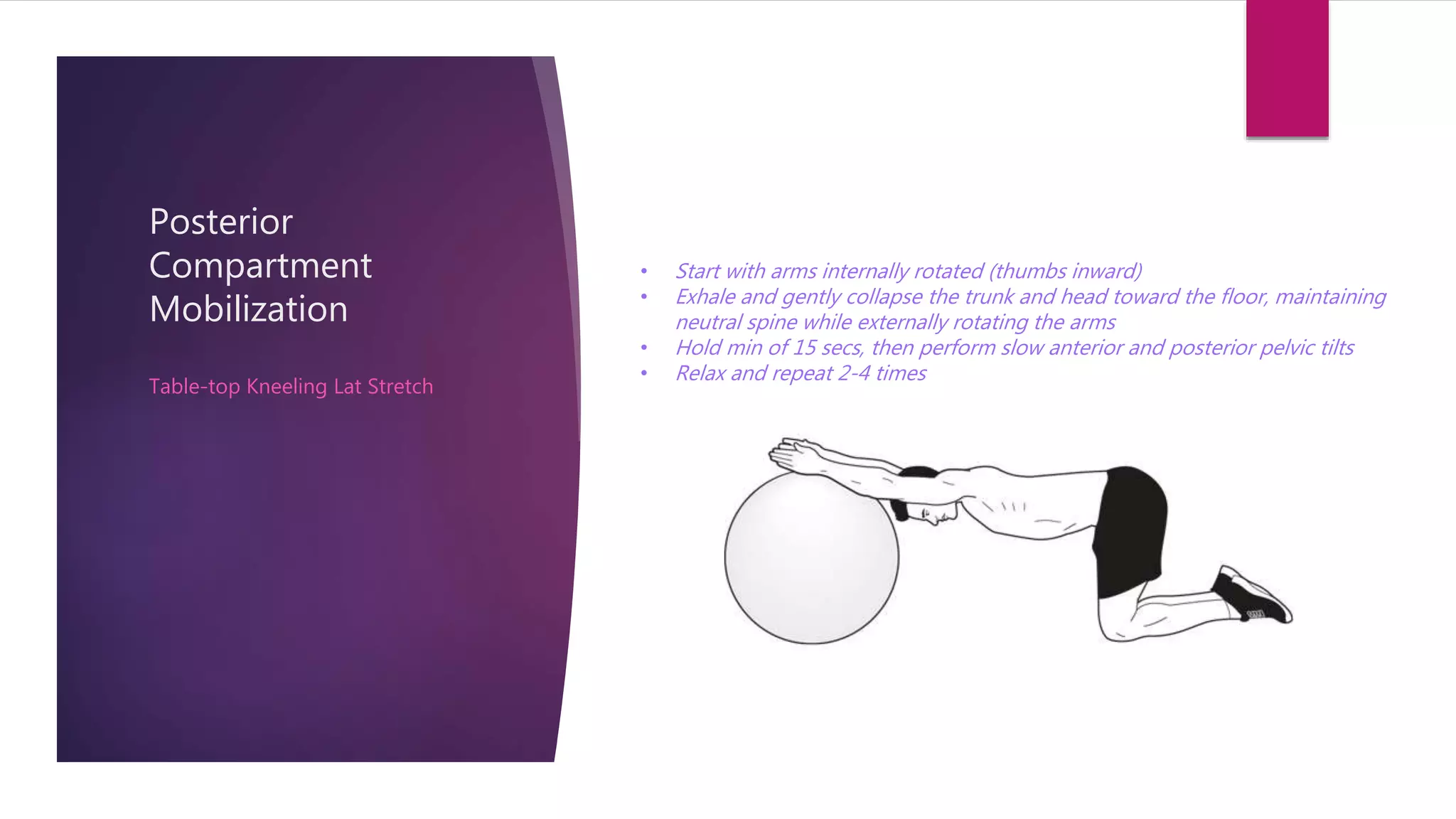 Proximal Stability & Core Rehabilitation | PPTX